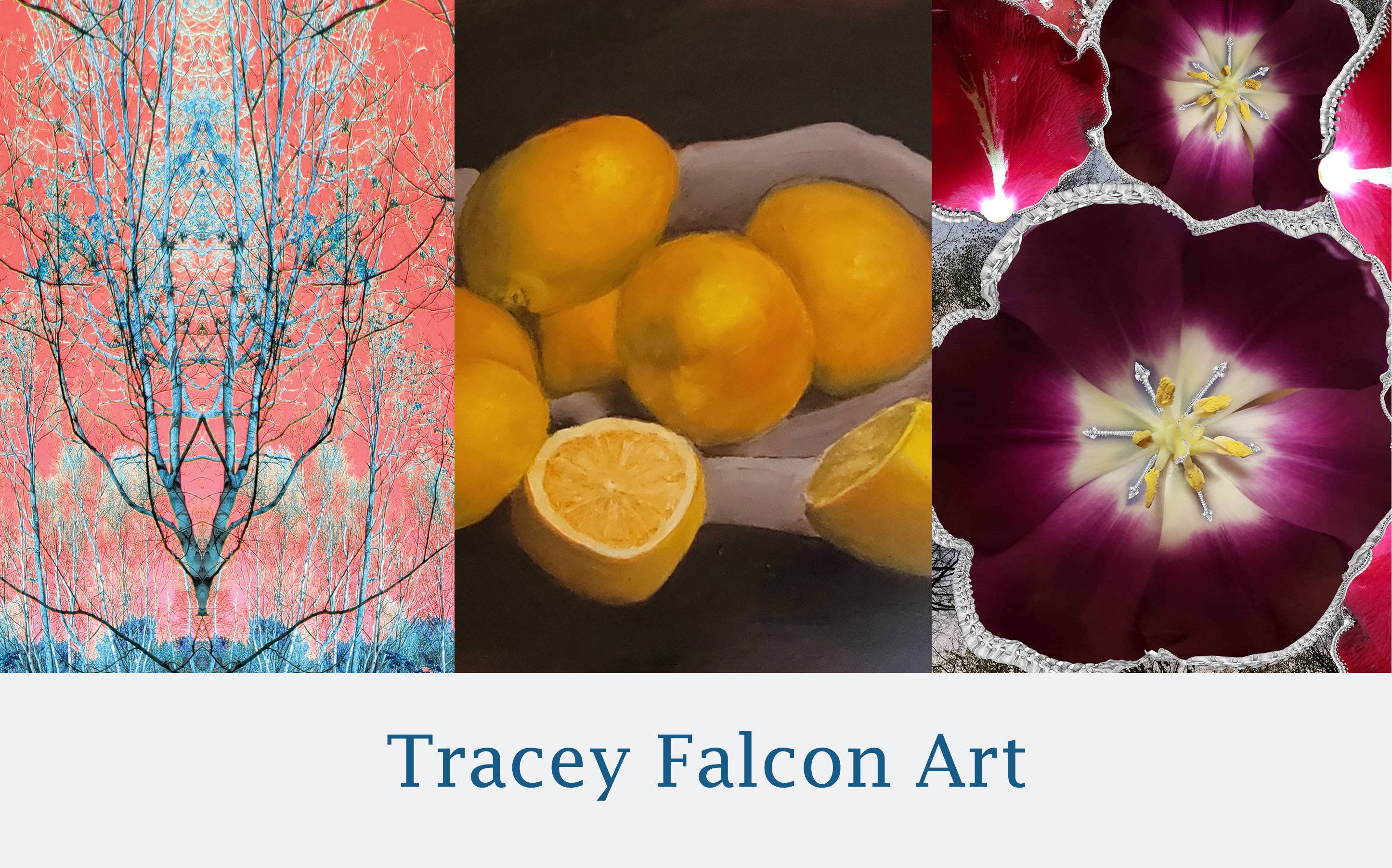 Tracey Falcon Art